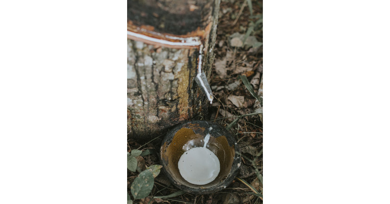 The History of Rubber Production